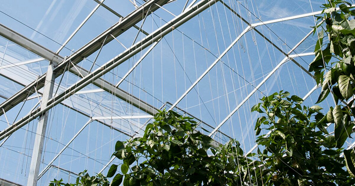 Wageningen University & Research study confirms that: ReduClean safely ...