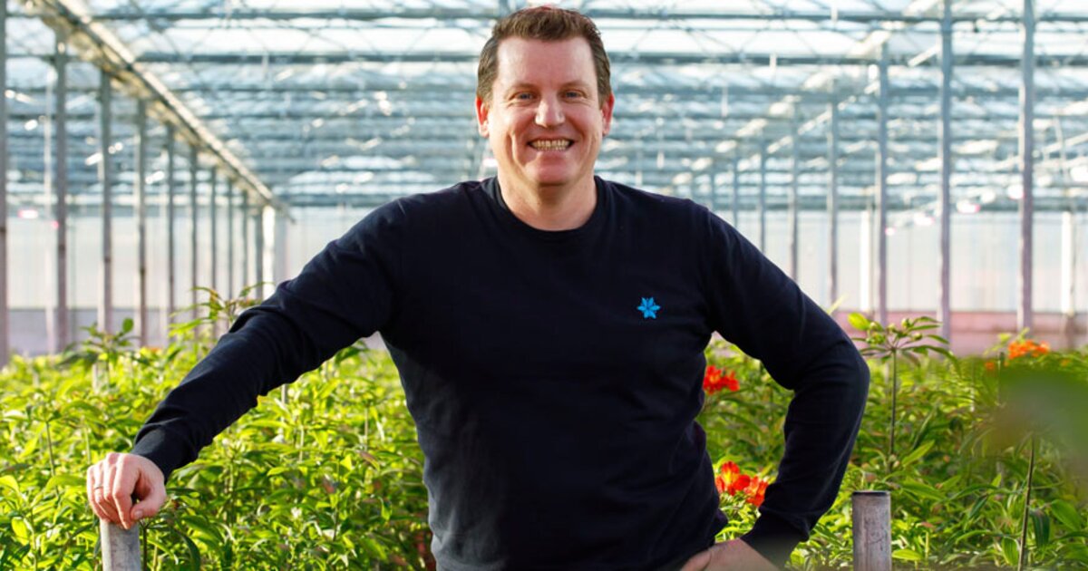 Мытьё кровли с помощью ReduClean важно несмотря на отсутствие на ней ...