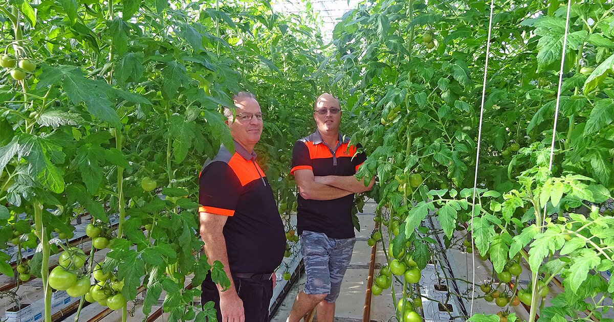 Harsh Climate Plants