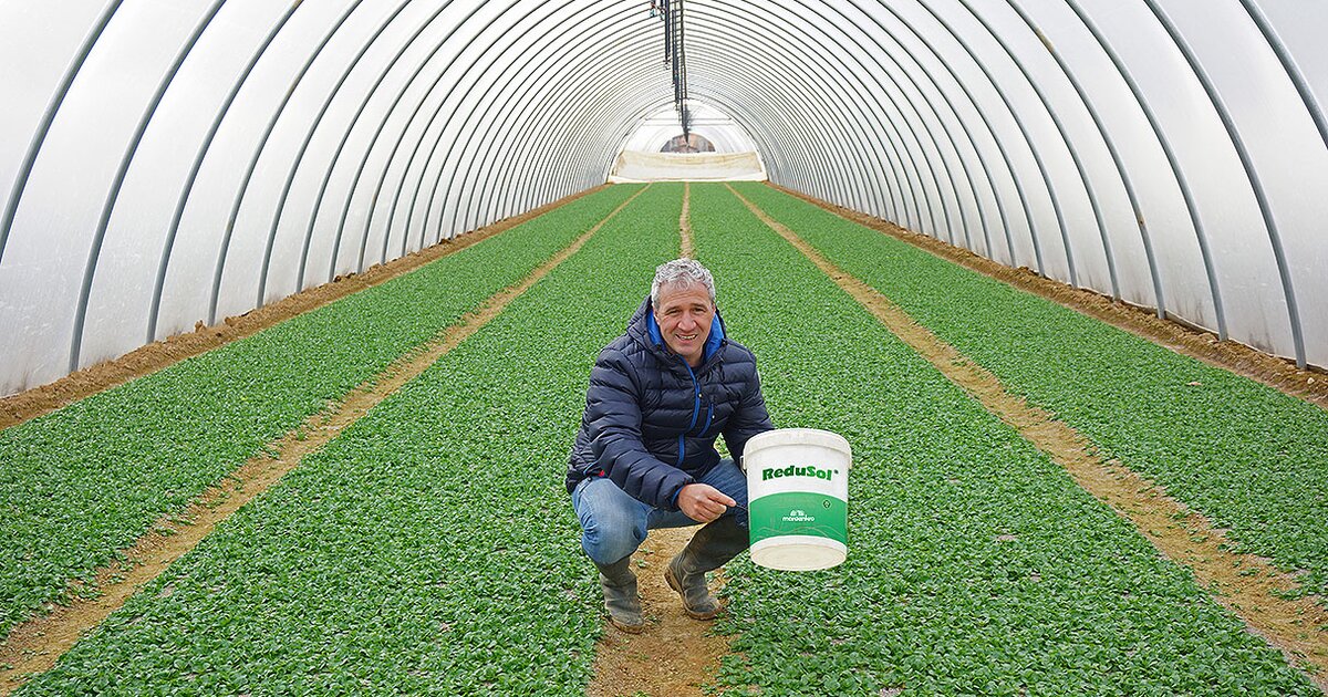 Invaluable help during the summer months : ReduSystems