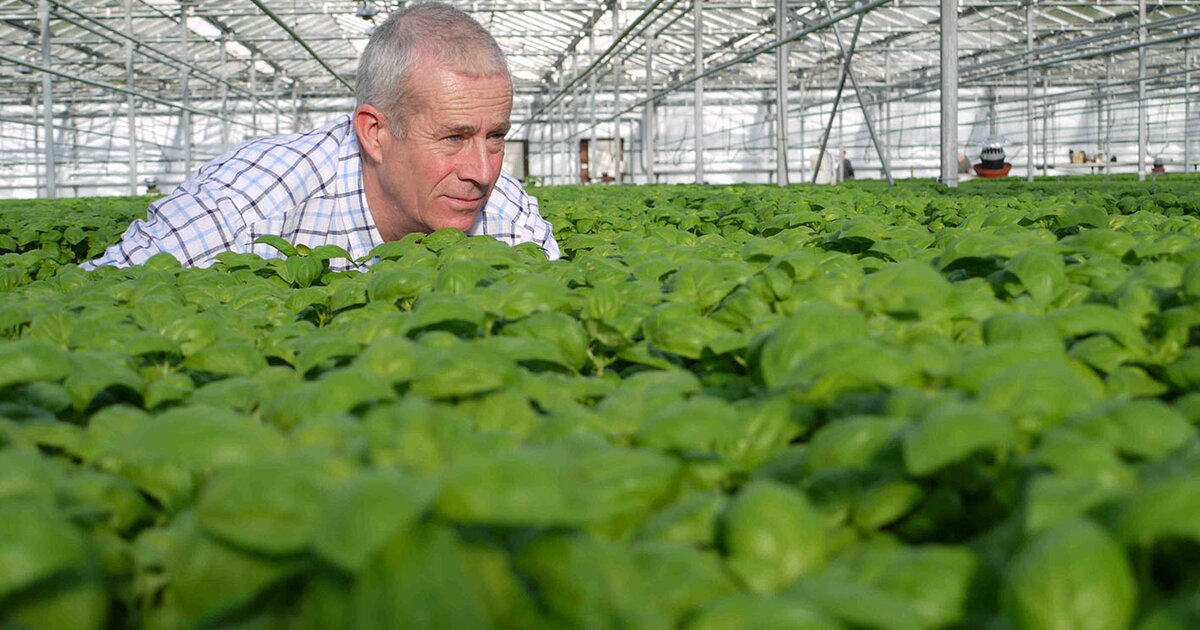 VHB and ReduHeat : ReduSystems