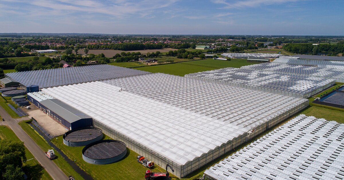 How much light does my crop need? : ReduSystems