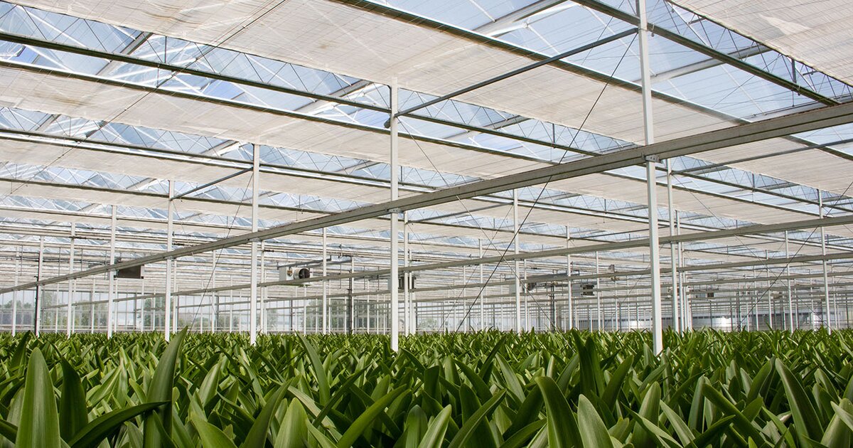 Greenhouse Screen For Shade Greenhouse Screen System, Greenhouse