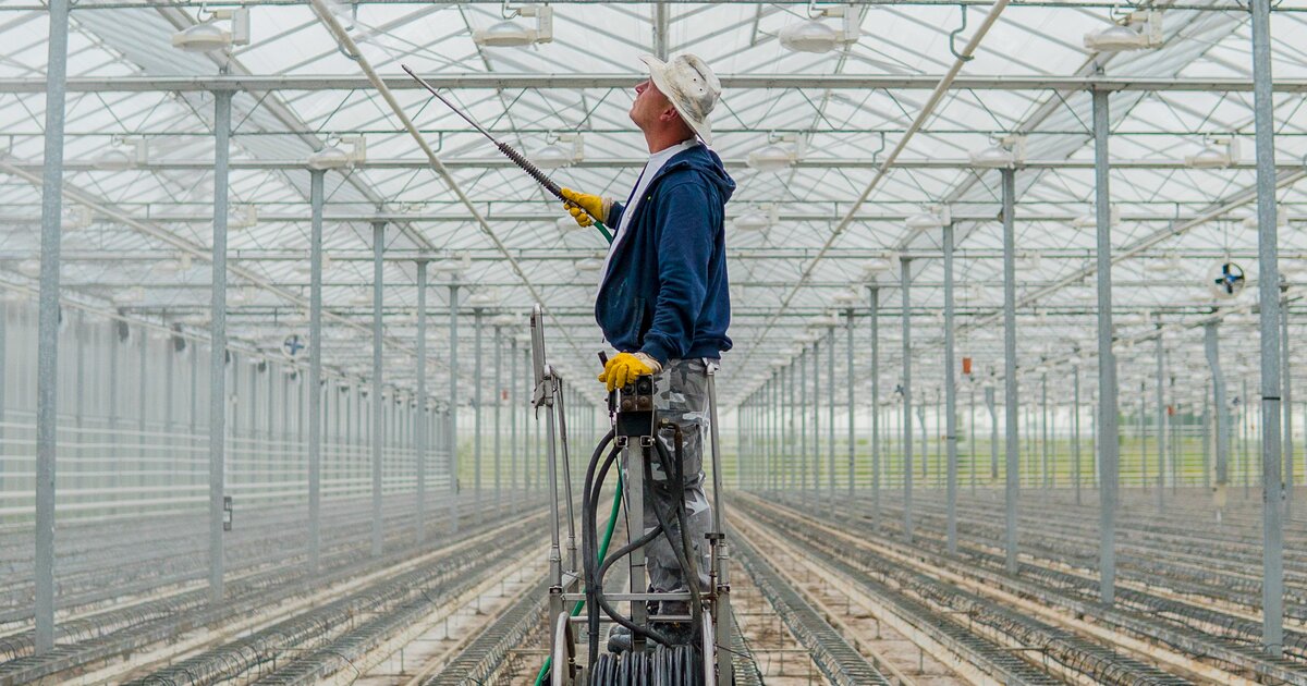 Coating and cleaning inside the greenhouse : ReduSystems